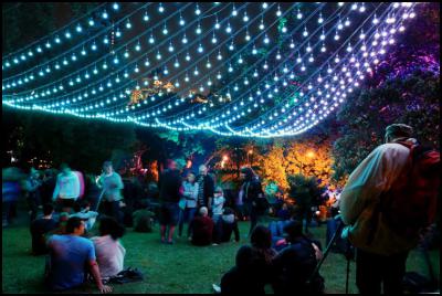 Alexandra Heaney's Instagram, Twitter & Facebook on IDCrawl